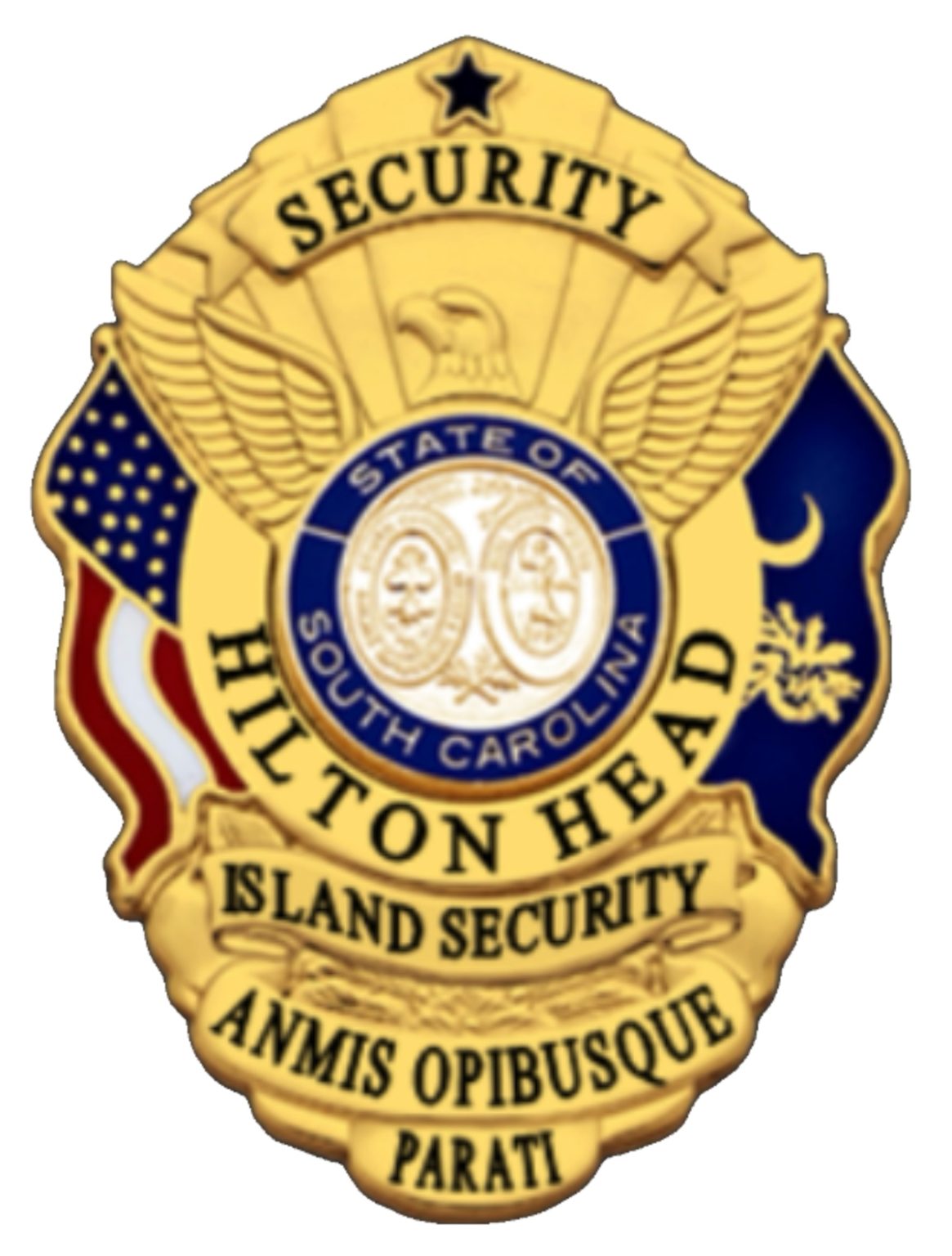 SLED Certified Security Officer Training – Island Security Services, LLC
